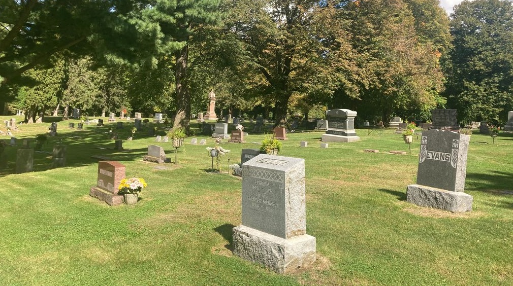 Our Family History